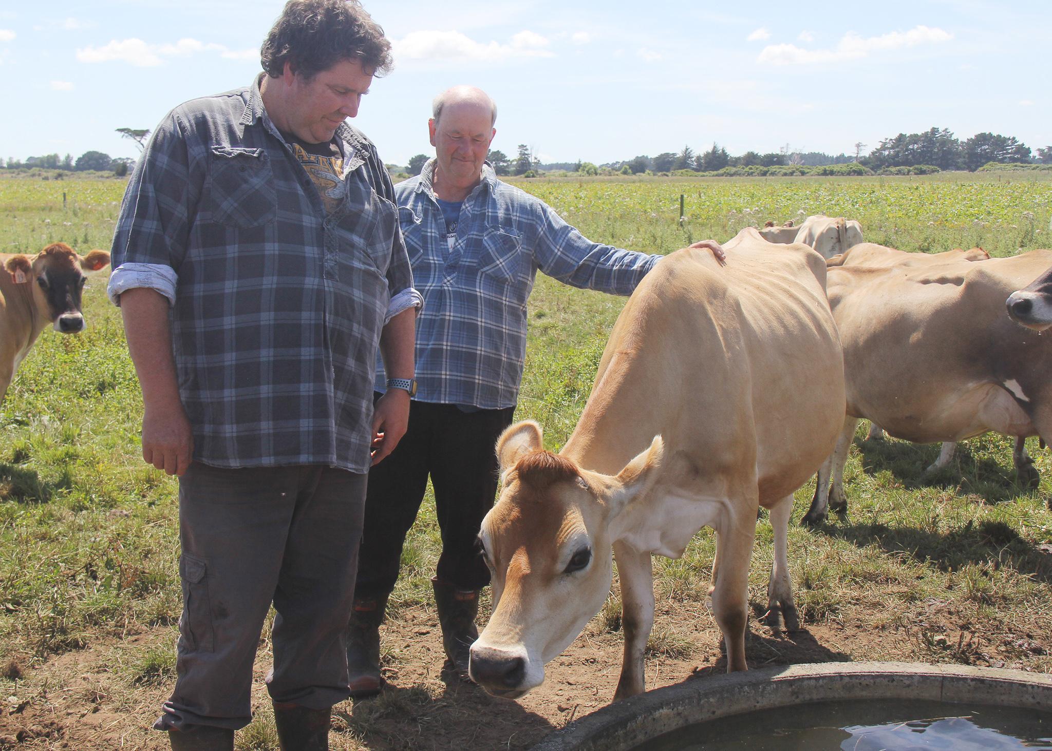 More from less cows | News from MilkMaP