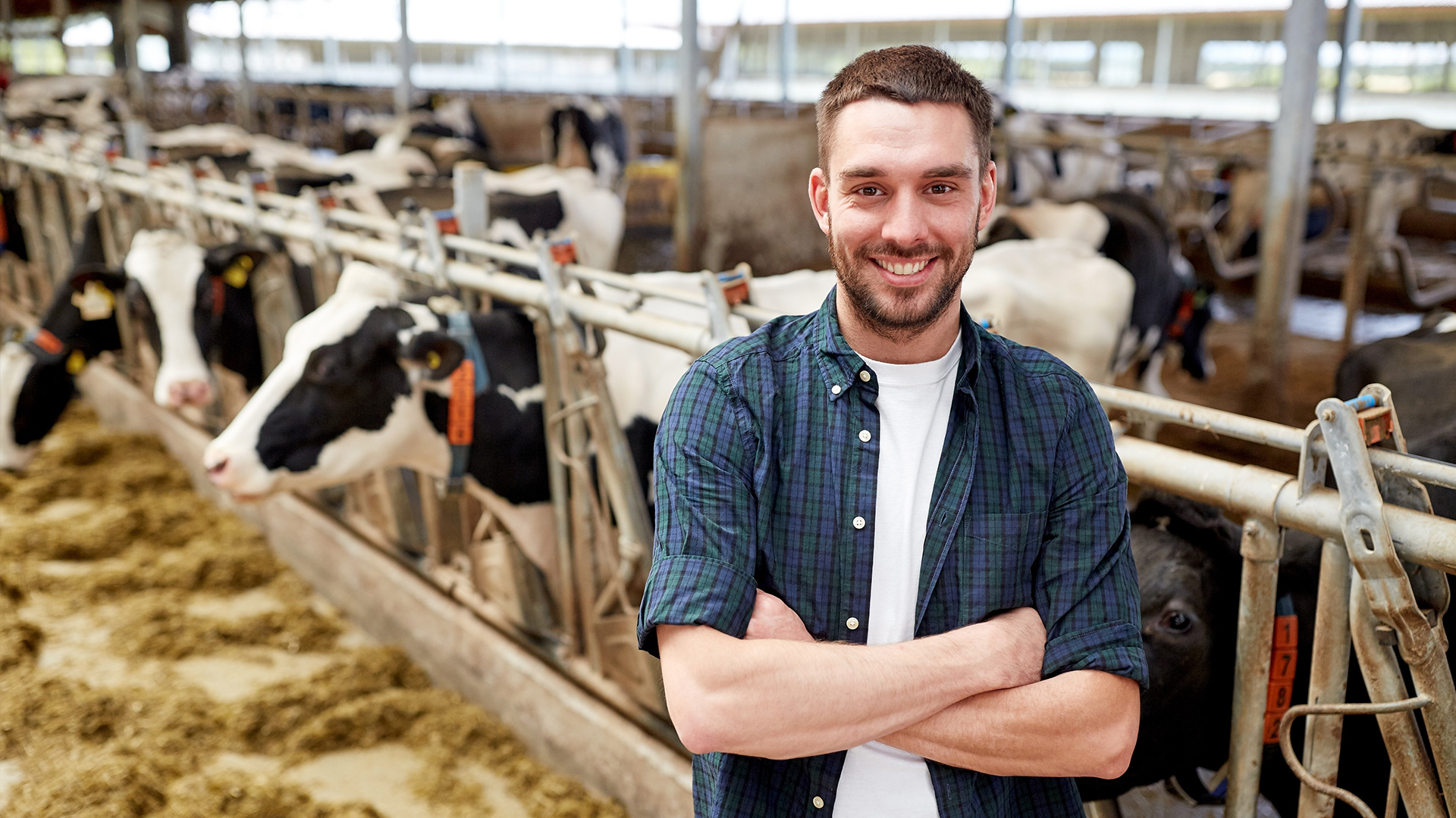 MilkMaP | Dairy Management Solutions, Training, Consulting in NZ